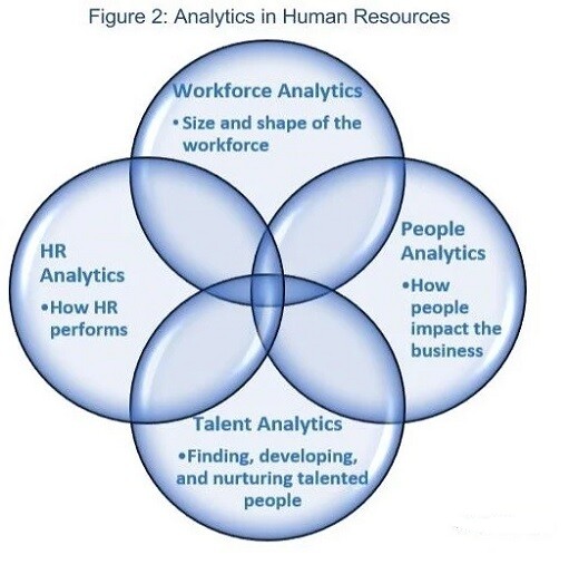 A Model for Understanding Analytics in Human Resources